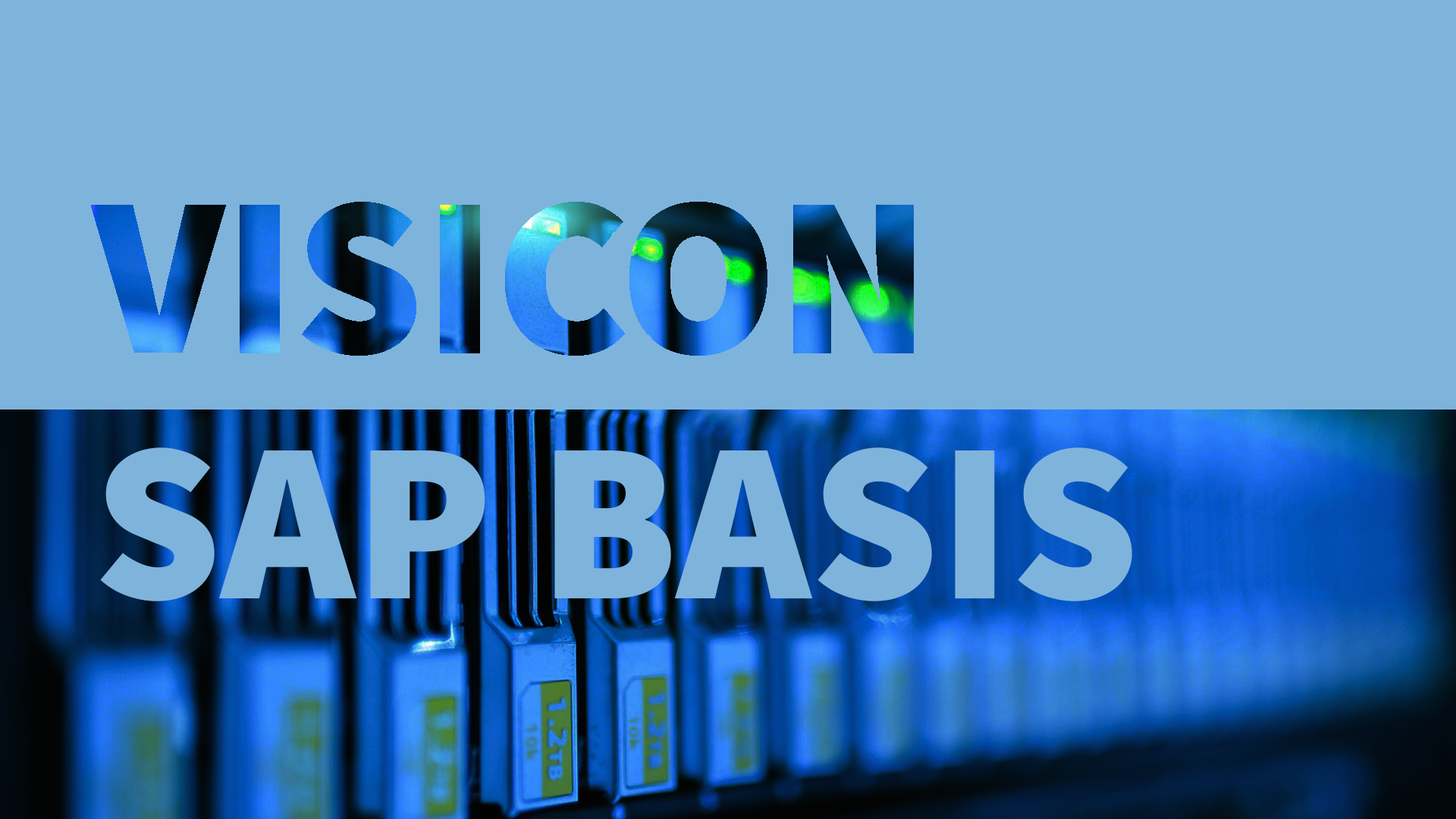VISICON SAP Basis | VISICON